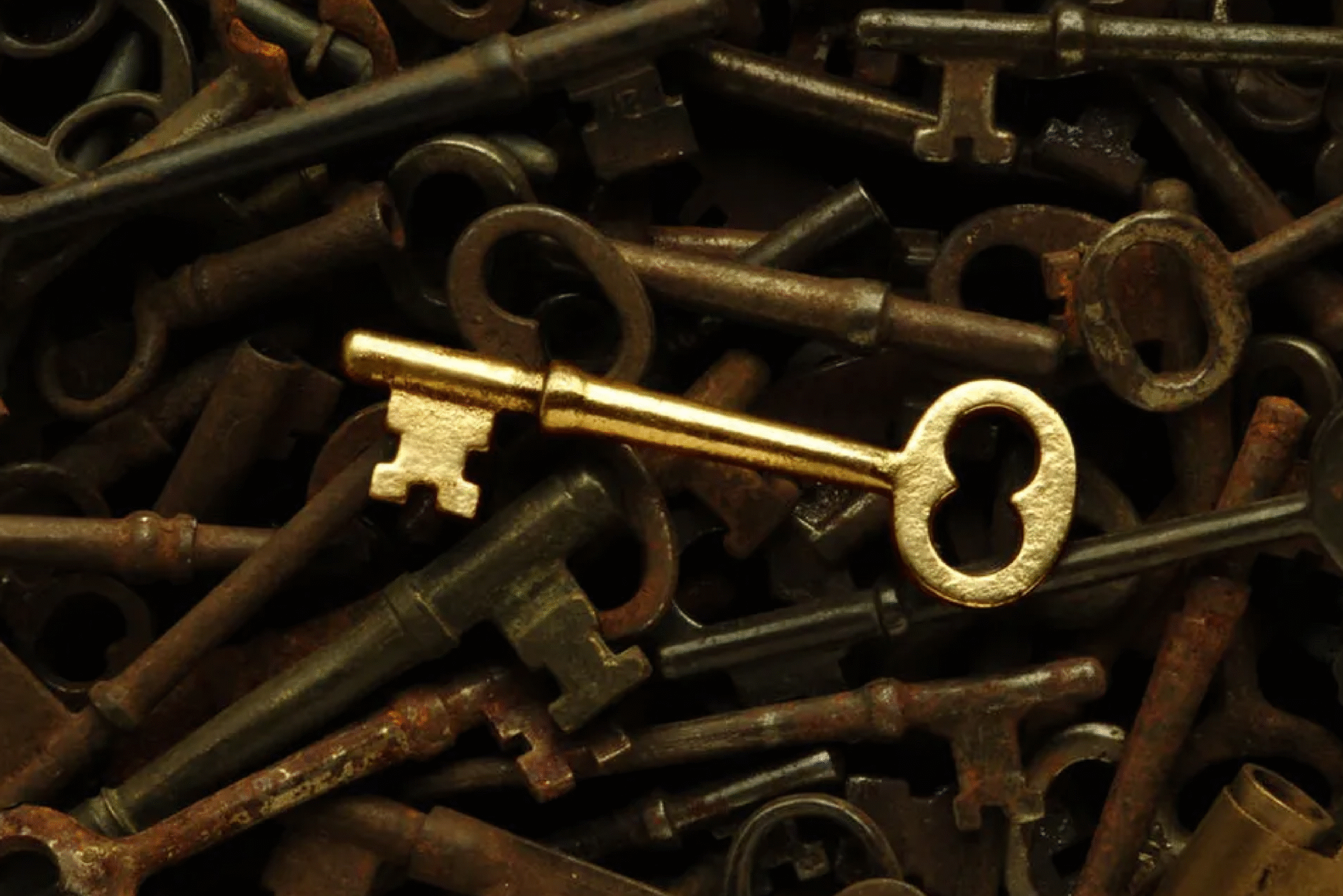 Choosing the Right Type of Legacy Application Modernization